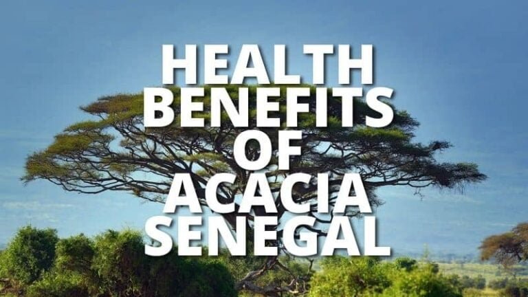 Potential Health Benefits of Acacia Senegal