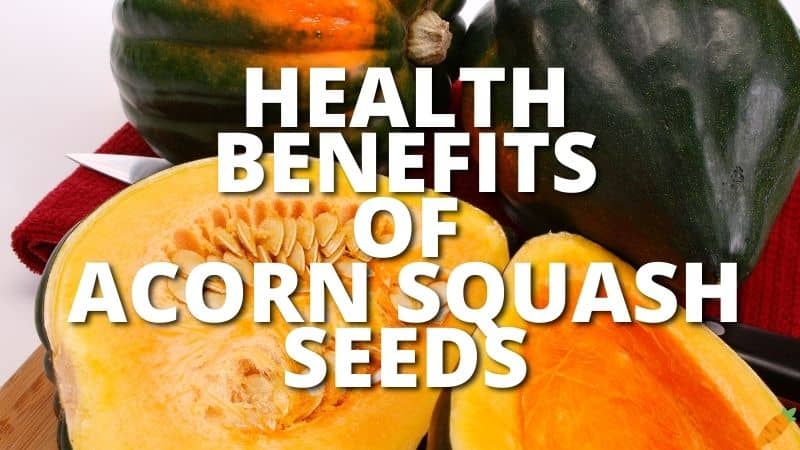 19 Potential Health Benefits Of Acorn Squash Seeds