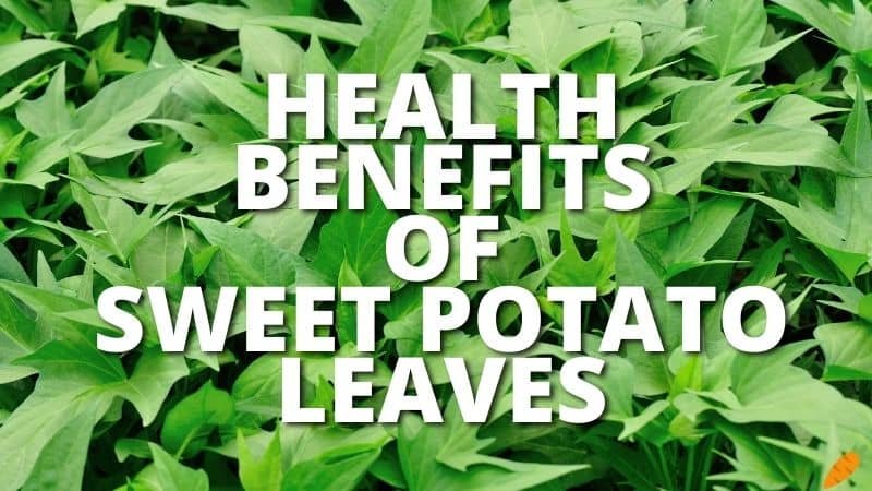 18 Potential Health Benefits Of Sweet Potato Leaves