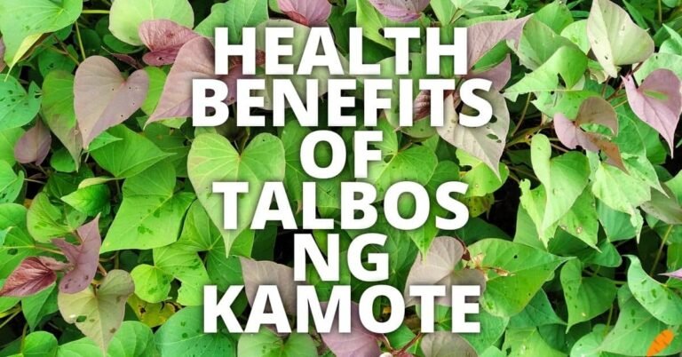 Potential Health Benefits of Talbos ng Kamote