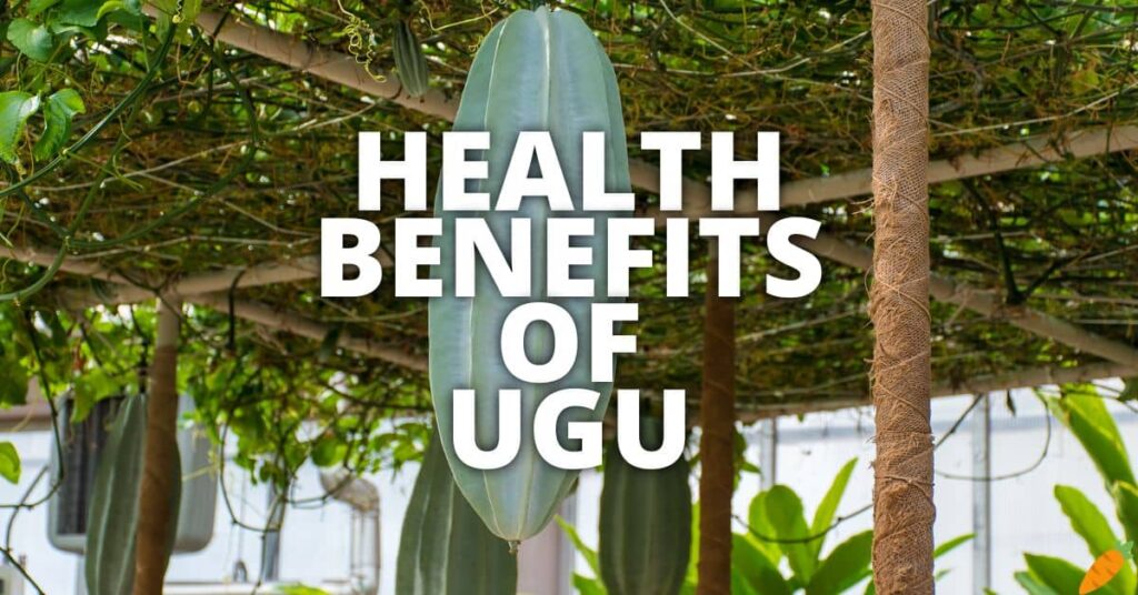 11 Potential Health Benefits Of Ugu