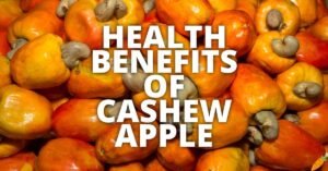 11 Potential Health Benefits Of Cashew Apple