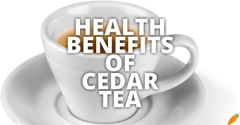 11 Potential Health Benefits Of Cedar Tea