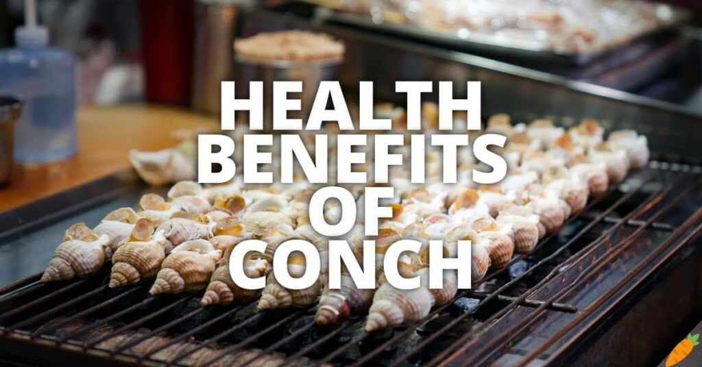 11 Potential Health Benefits Of Conch