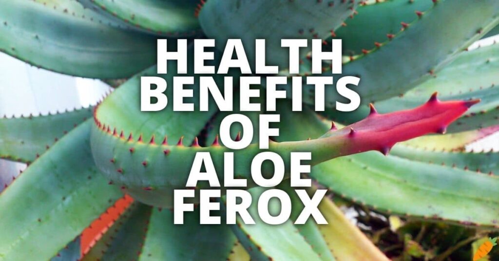 11 Potential Health Benefits Of Aloe Ferox