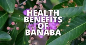 Potential Health Benefits of Banaba