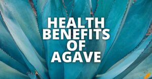 Potential Health Benefits of Agave