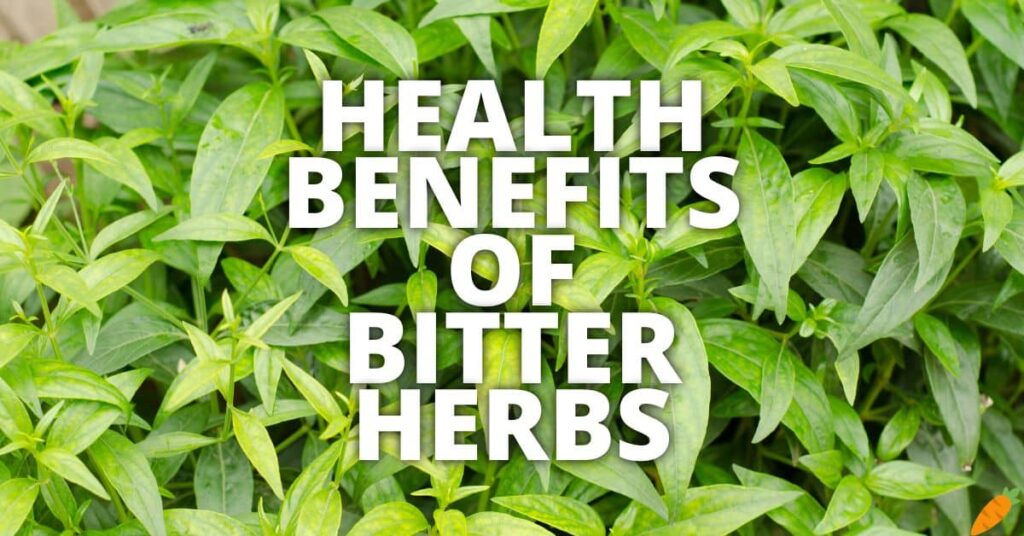 11 Potential Health Benefits Of Bitter Herbs