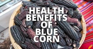 10 Potential Health Benefits Of Blue Corn