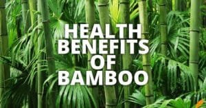 Potential Health Benefits of Bamboo