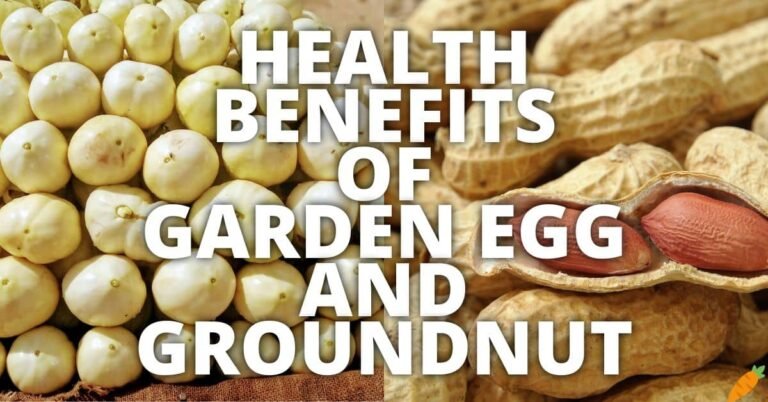 11 Potential Health Benefits Of Garden Egg And Groundnut