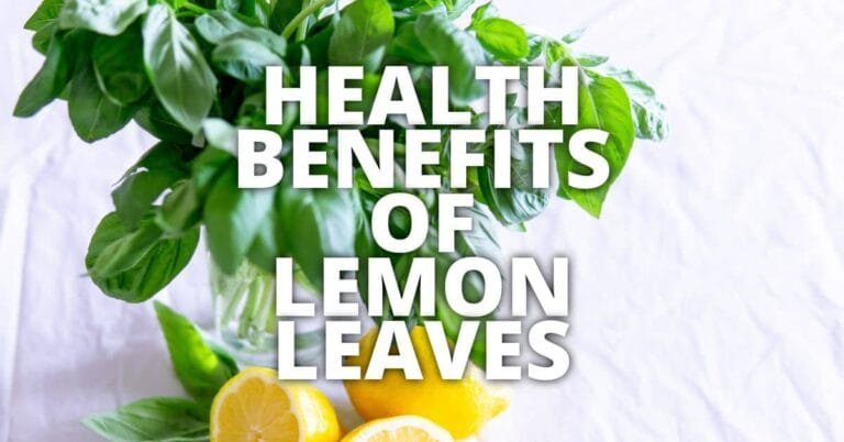 11 Potential Health Benefits Of Lemon Leaves