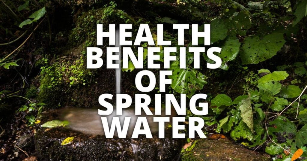 11 Potential Health Benefits Of Spring Water