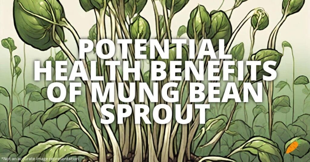 Potential Health Benefits Of Mung Bean Sprout