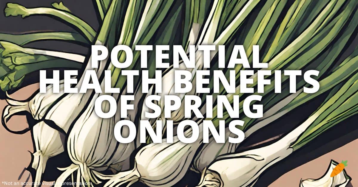 Potential Health Benefits Of Spring Onions Potential Health Benefits Of Spring Onions