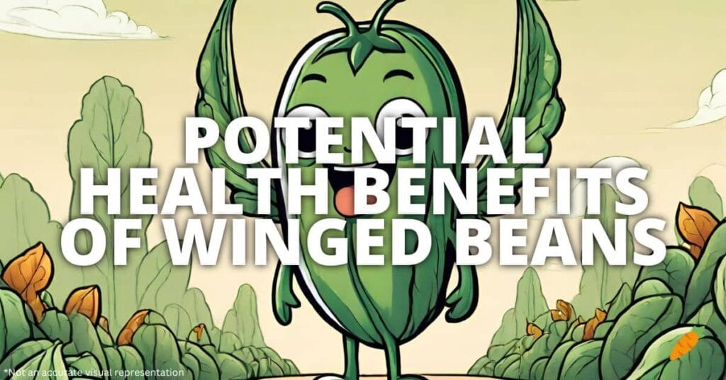 Potential Health Benefits Of Winged Beans